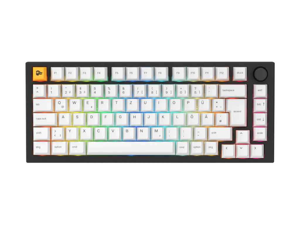 Die Glorious GMMK Pro Pre-Built-Edition